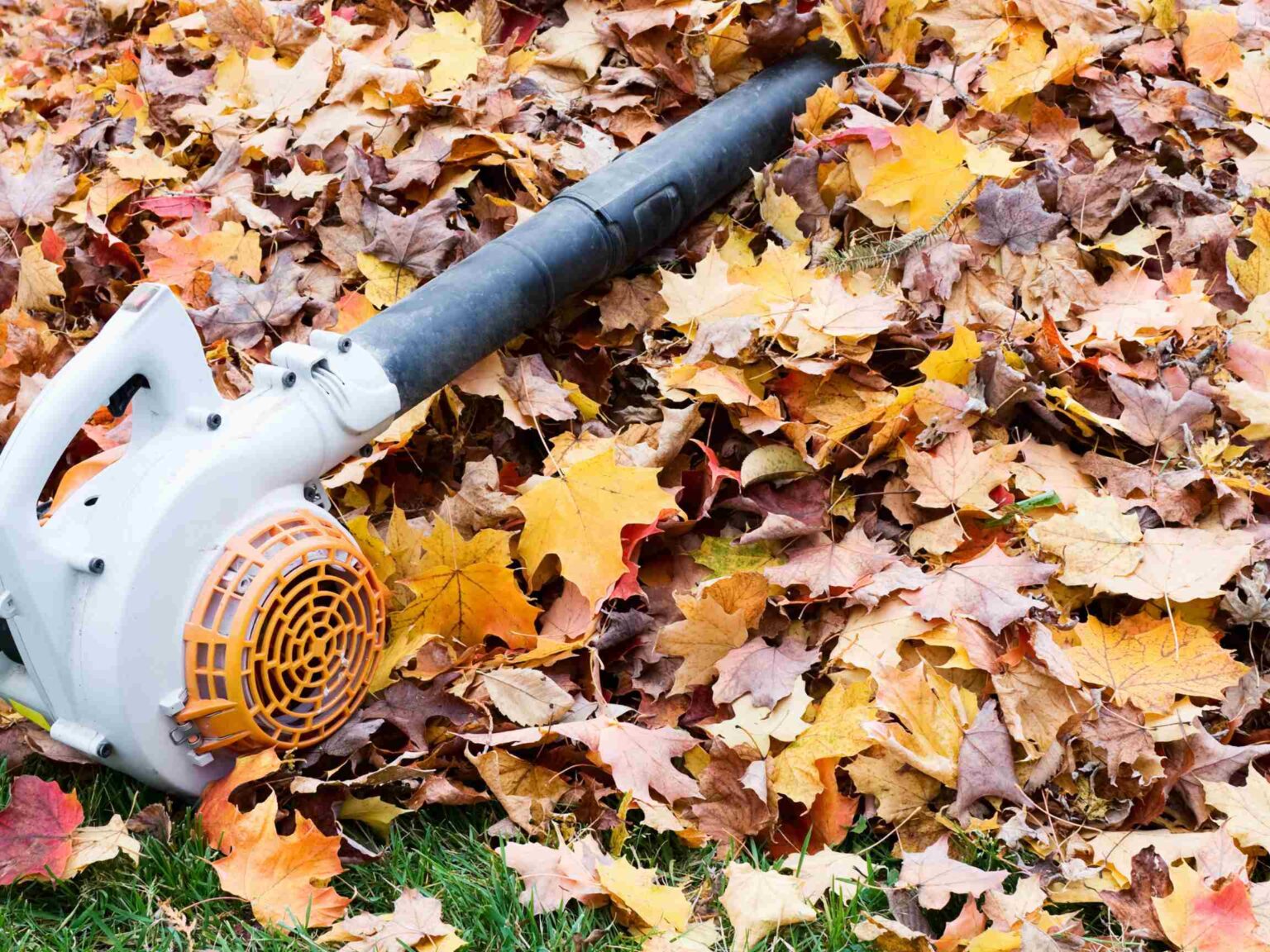 18 October Fundraising Ideas: Practical & Creative (+Tips) - Charity ...