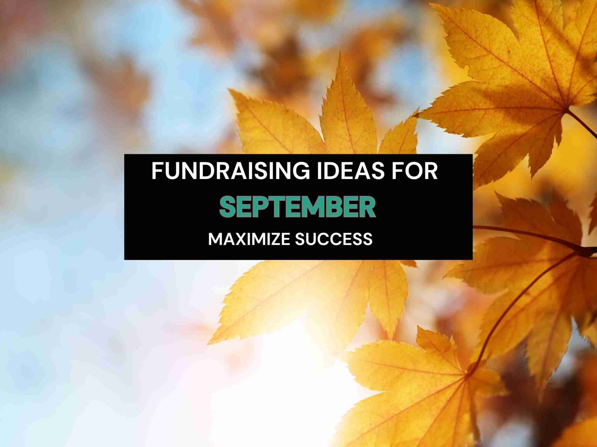 17 Brilliant Summer Fundraising Ideas You Haven't Thought Of - Charity Fund Zone