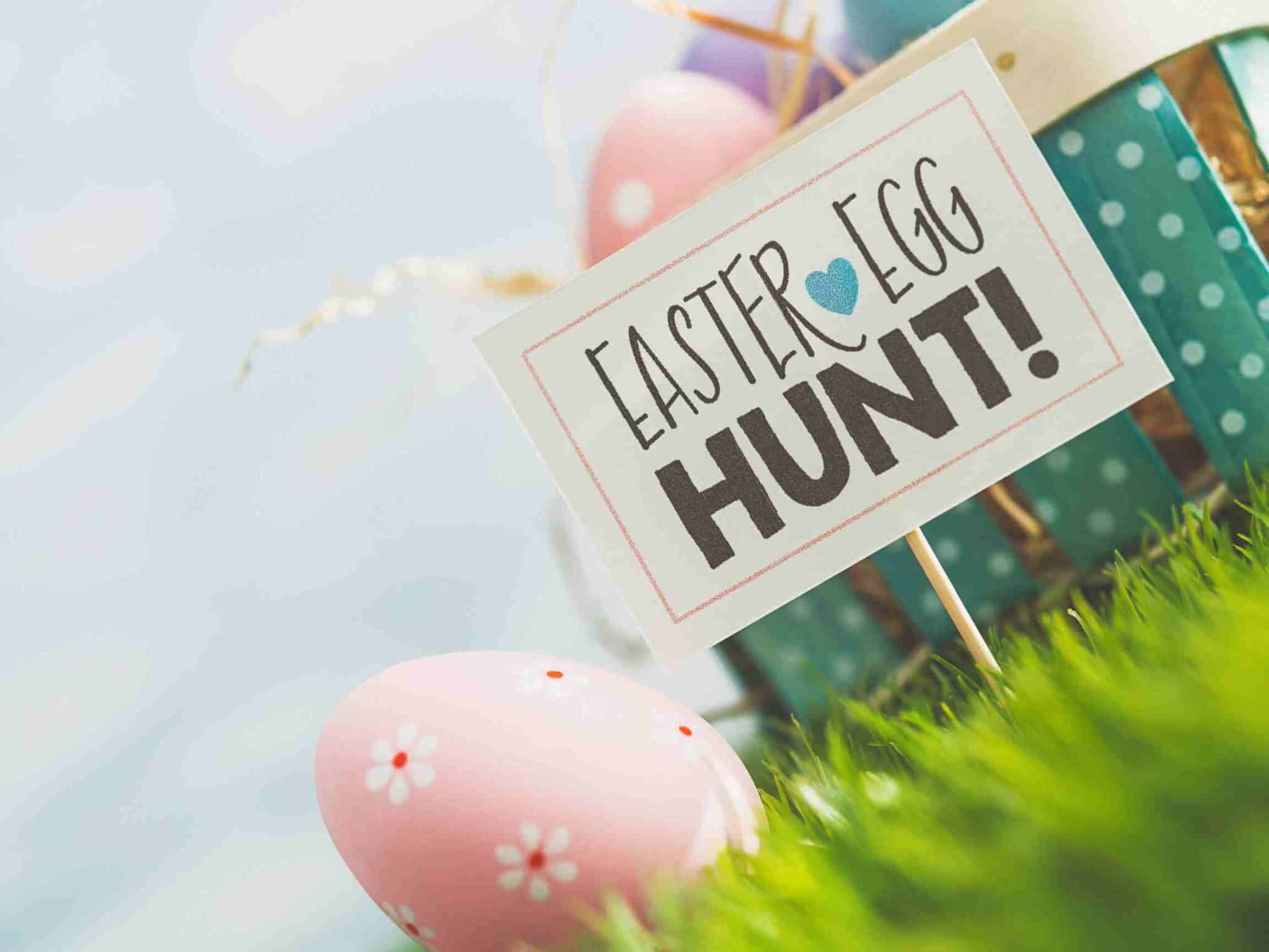 11 Vibrant Spring Fundraising Ideas for Schools For Fun & Profits ...