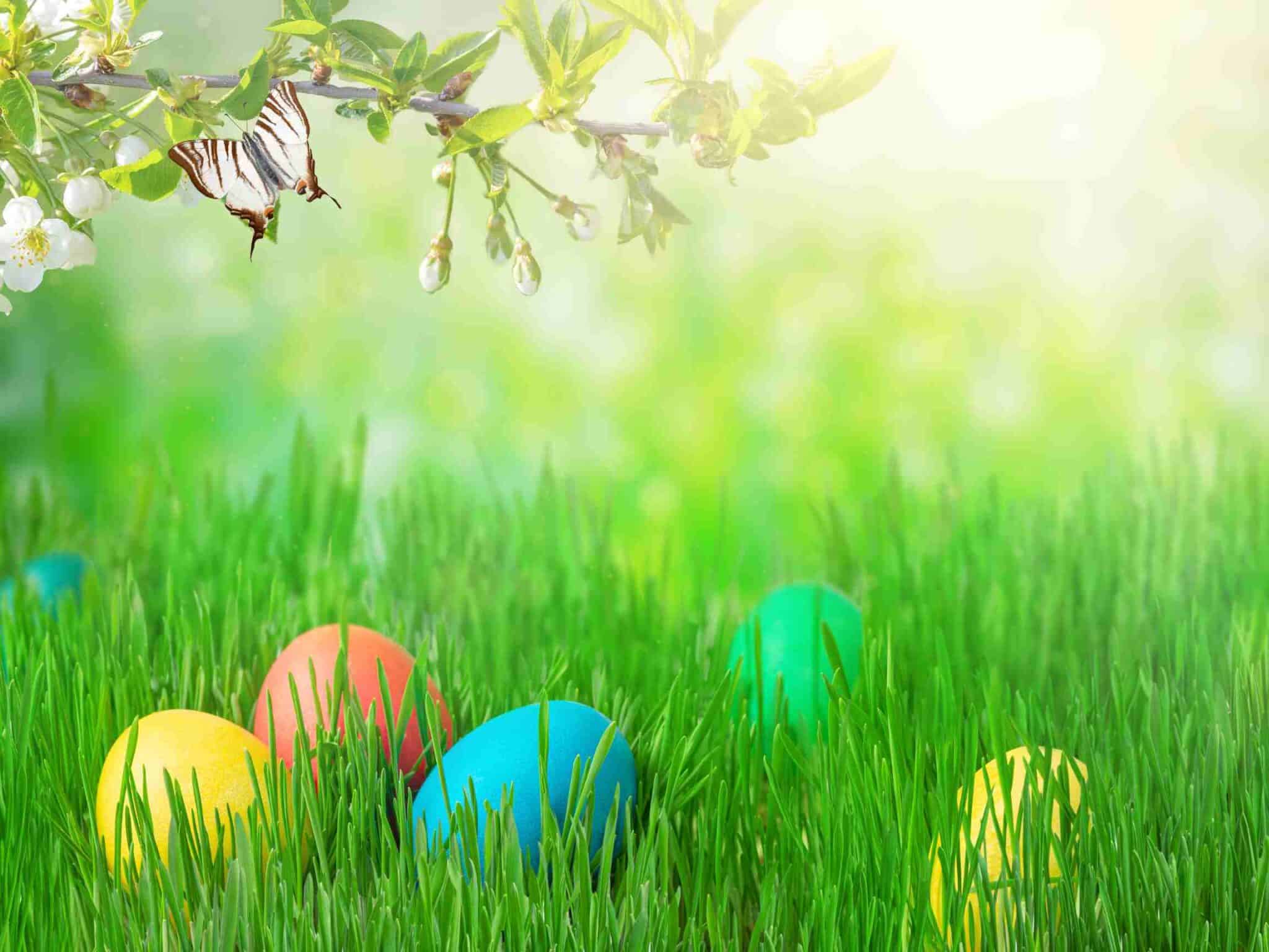 11 Carefully Curated Easter Fundraising Ideas for Office - Charity Fund ...
